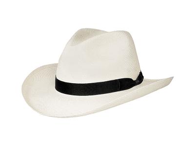Rodeo Round Up Straw Collection | BULLHIDE HATS